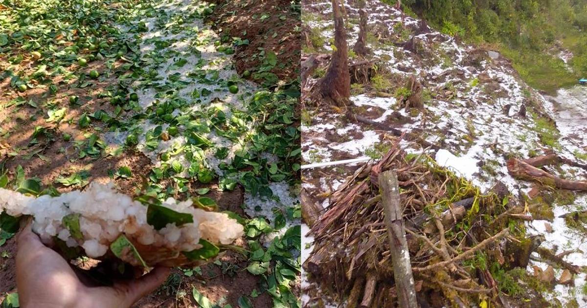 Cochabamba: Intensa granizada causa estragos en los municipios de ...