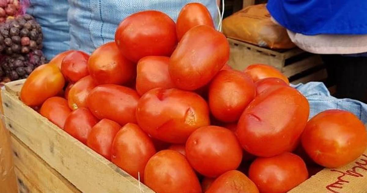 Santa Cruz: El precio del kilo de tomate pasó de Bs 6 A Bs 17 y ...