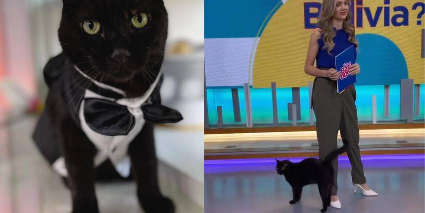 Detrás de cámaras: Diegato y la travesura a Daniela Pol